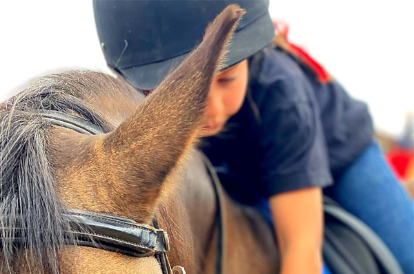 BELLEVUE EQUESTRIAN CENTRE - UNIQUE AND OUTSTANDING HORSE RIDING