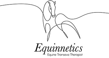 BELLEVUE EQUESTRIAN CENTRE - UNIQUE AND OUTSTANDING HORSE RIDING